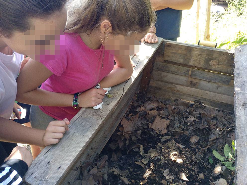 Alumnos del colegio José de Mora de Baza visitan su compostera escolar ...